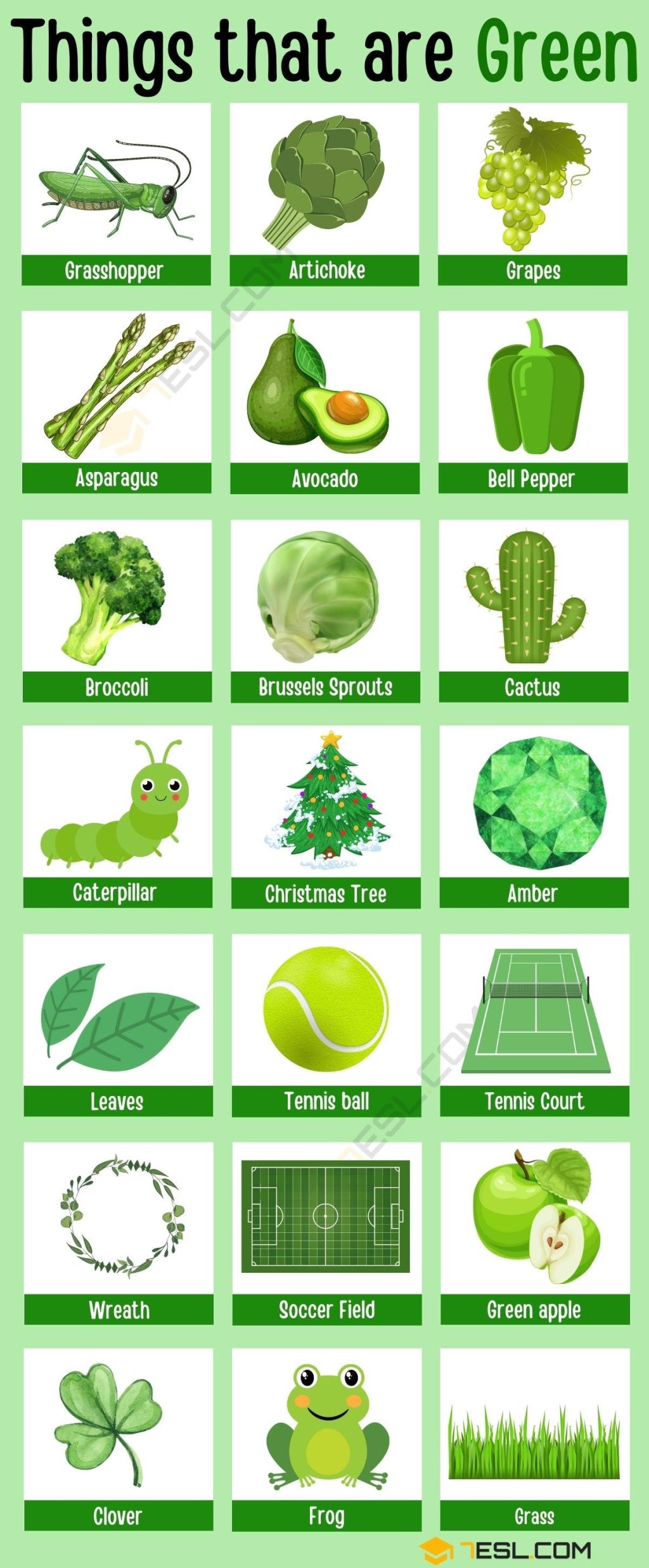 Exploring Nature’S Beauty: Things That Are Green – Business Cash Sales